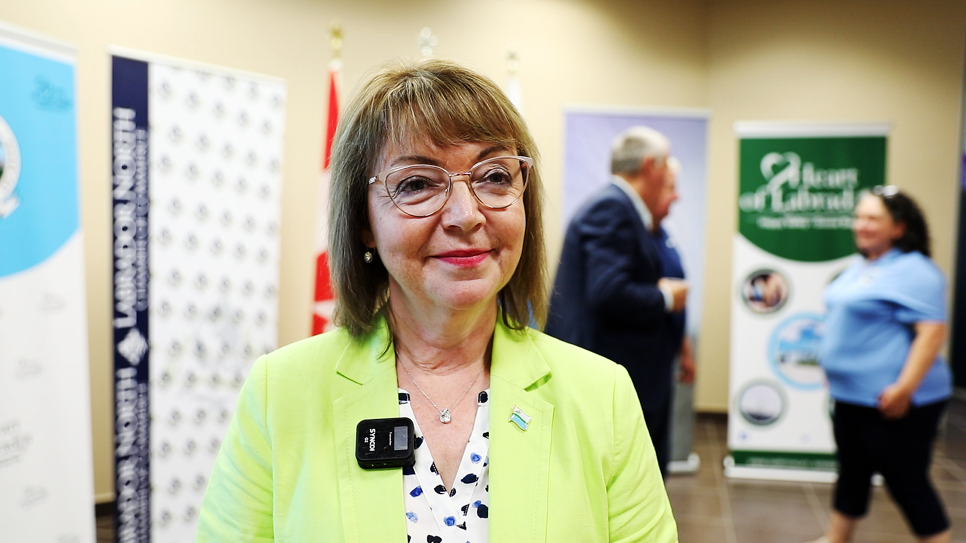 Liberals’ Air Access Program for Labrador doesn't provide meaningful ...