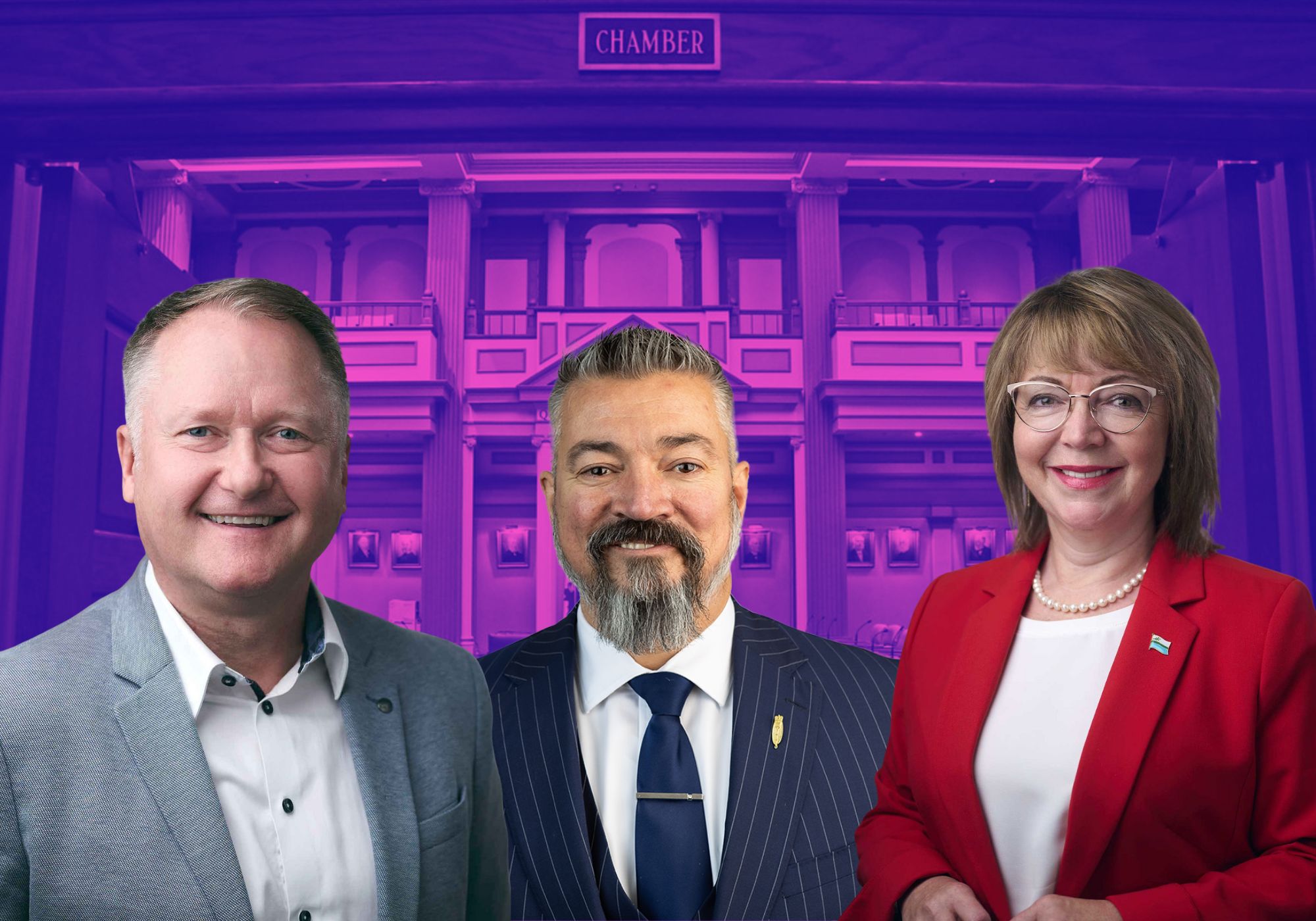 UPDATED: Liberal cabinet ministers, PC MHA have not filed public ...